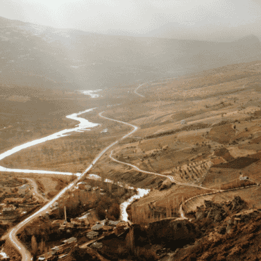 Executive Team | Molycop