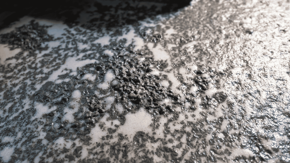 Flotación | Molycop